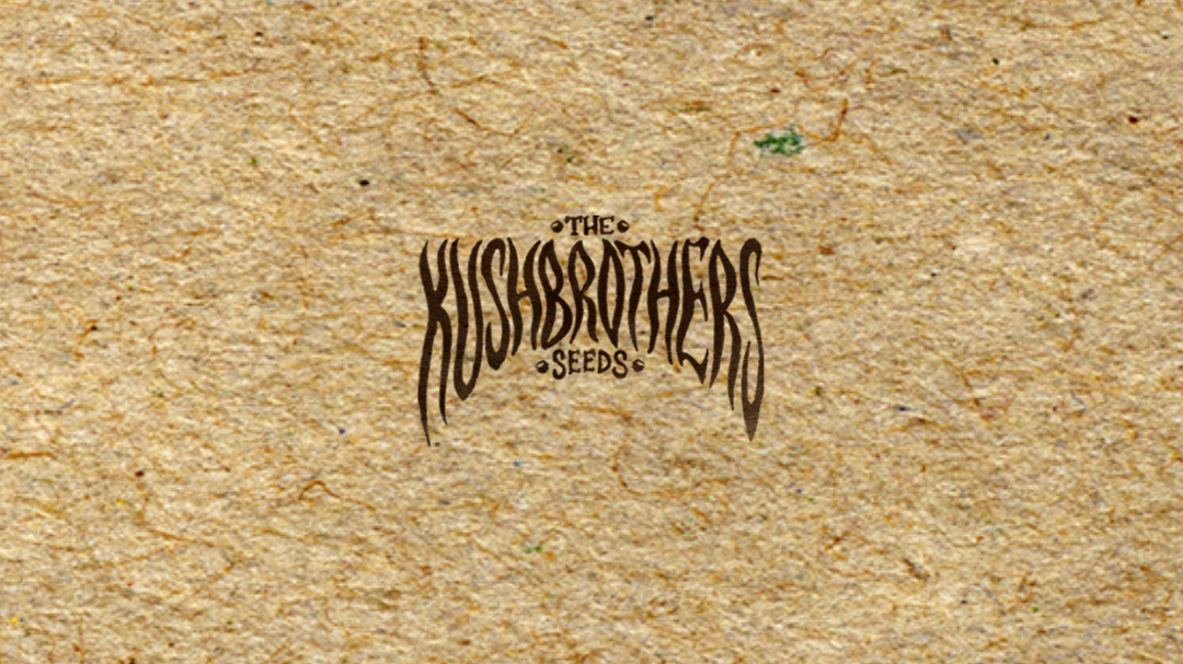 Mundo Semilla | KUSH BROTHERS X3