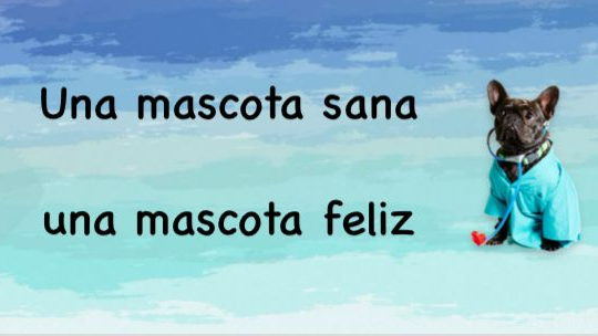 PETDPOTCOMPANY | SALUD